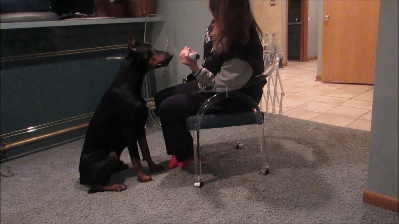 chin rest and grab 12 15 17 - YouTube