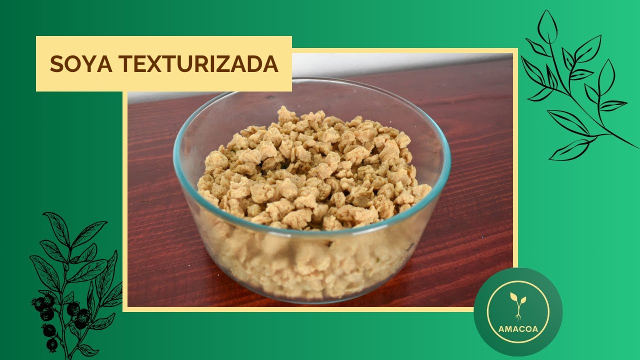 Cómo preparar SOYA TEXTURIZADA para tus guisados y platillos - Amacoa ...