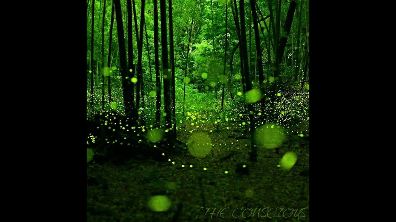 Libra: February 2020 **That Wand Changed Your Mind!** (Behind The ...