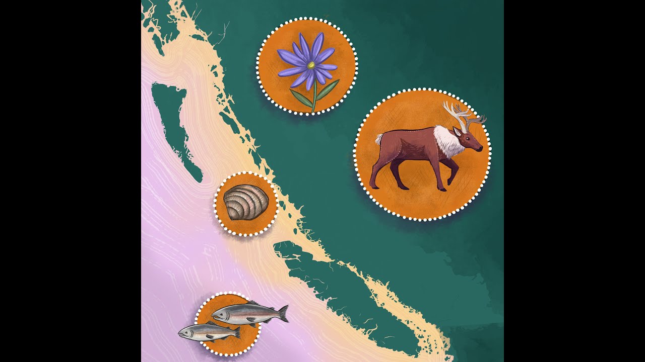 What does First Nations food sovereignty look like in the face of ...