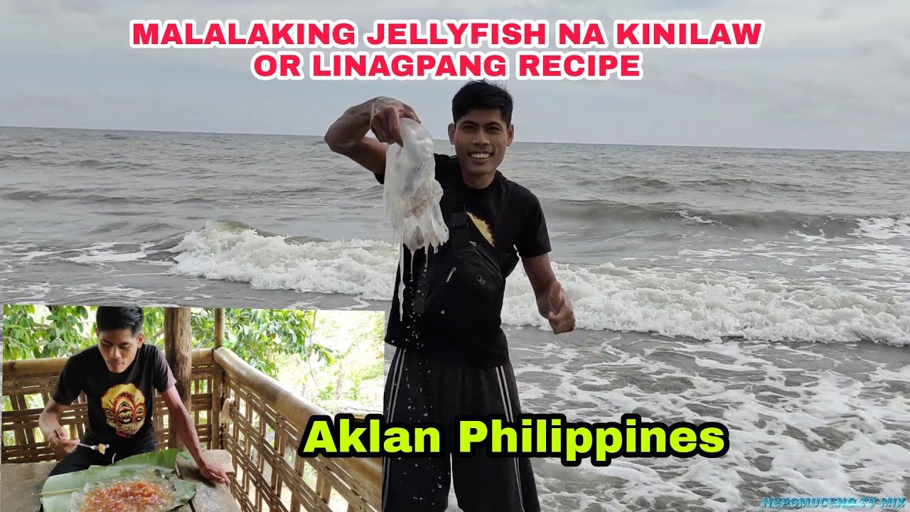 EP-19 Jellyfish Recipe kinilaw or linagpang Balete Aklan Philippines ...