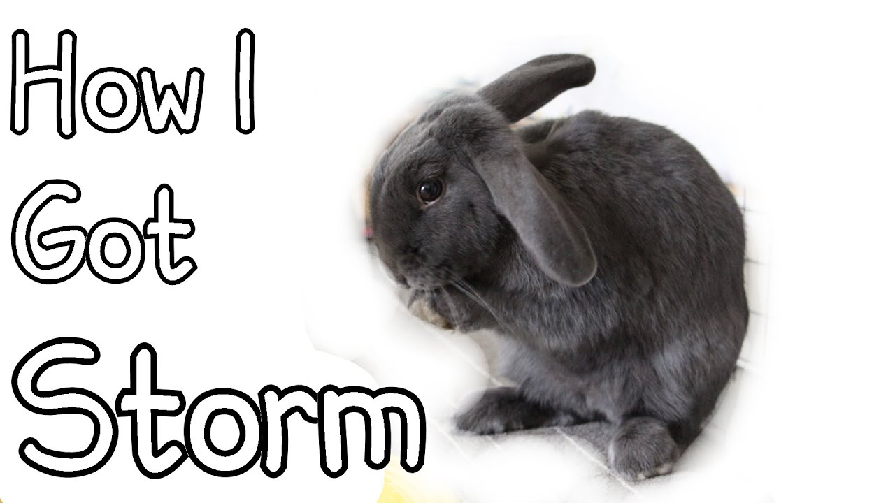 How I Got Storm - YouTube