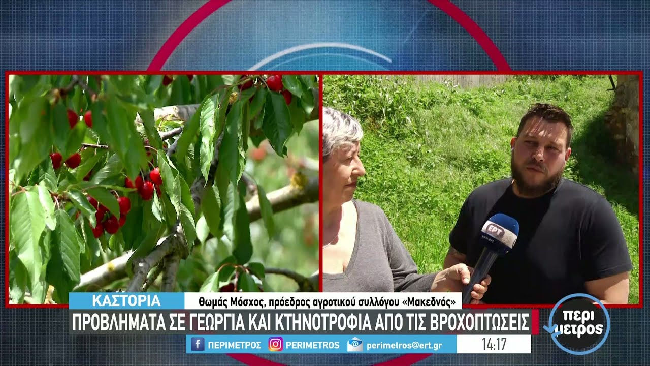 Προβλήματα σε γεωργία και κτηνοτροφία από τις βροχοπτώσεις | 17/05/2023 ...