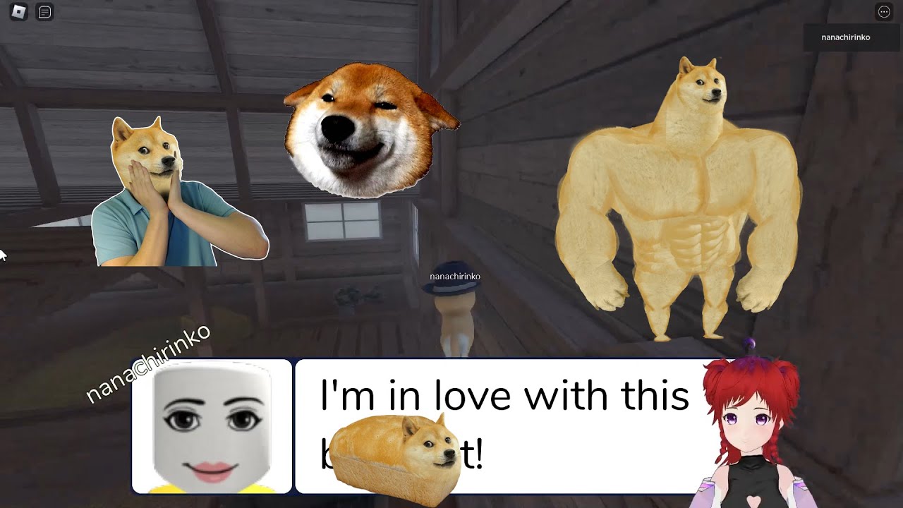 That time I got reincarnated in Doge Story on Roblox - YouTube