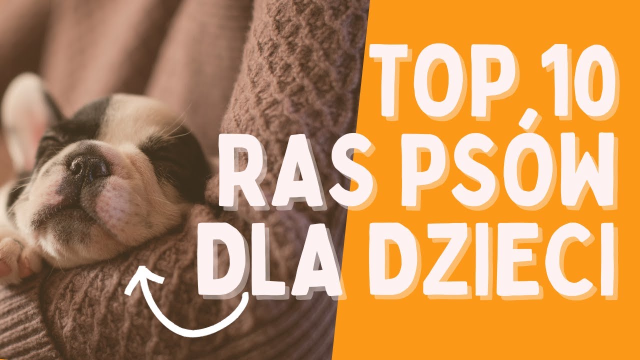 Top 10 ras psów dla rodzin z dziećmi | Jakiego psa najlepiej wybrać dla ...