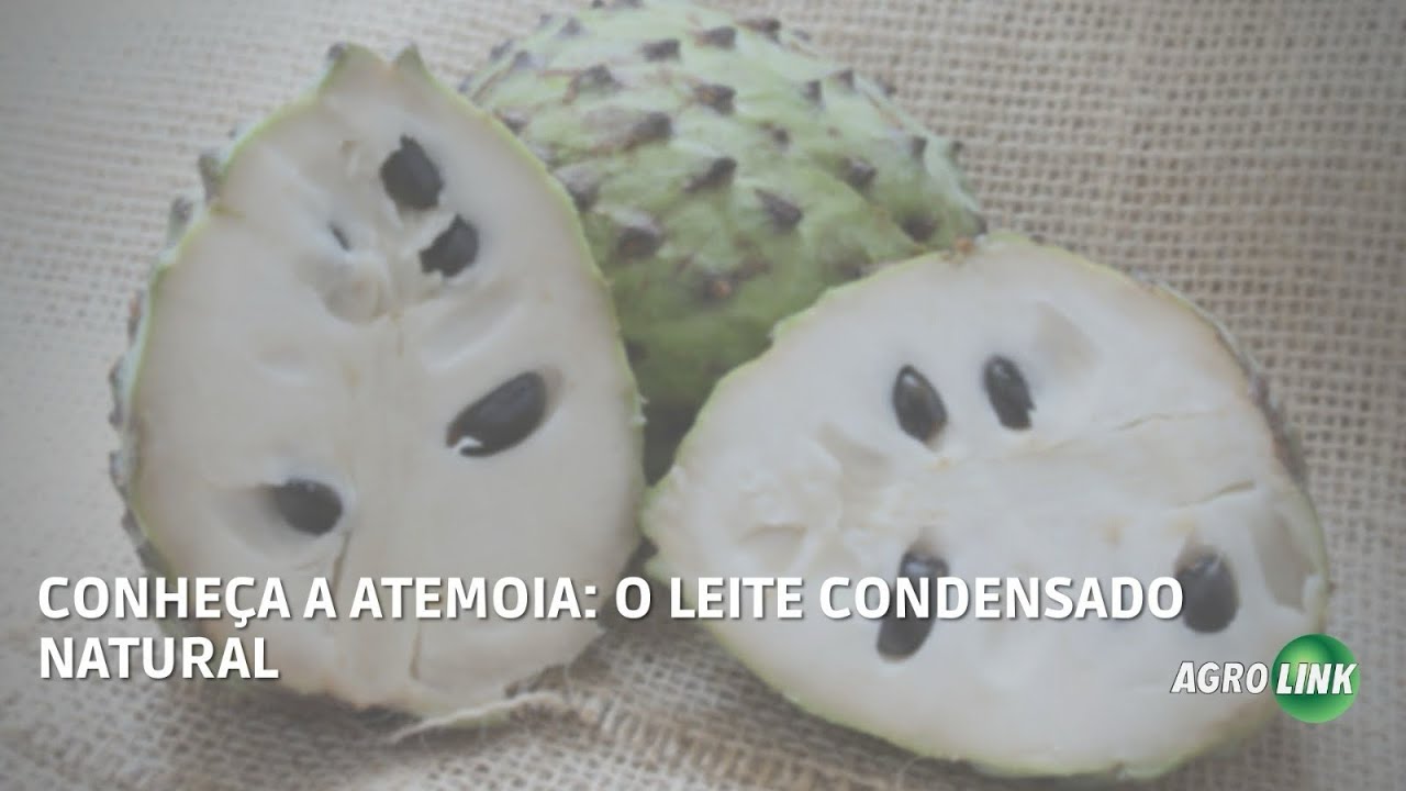 Conheça a atemoia: o leite condensado natural - YouTube