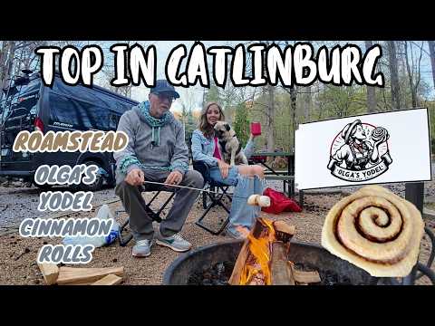 In TOP 5  Gatlinburg Campgrounds & Best Cinnamon Roll in Smoklie's