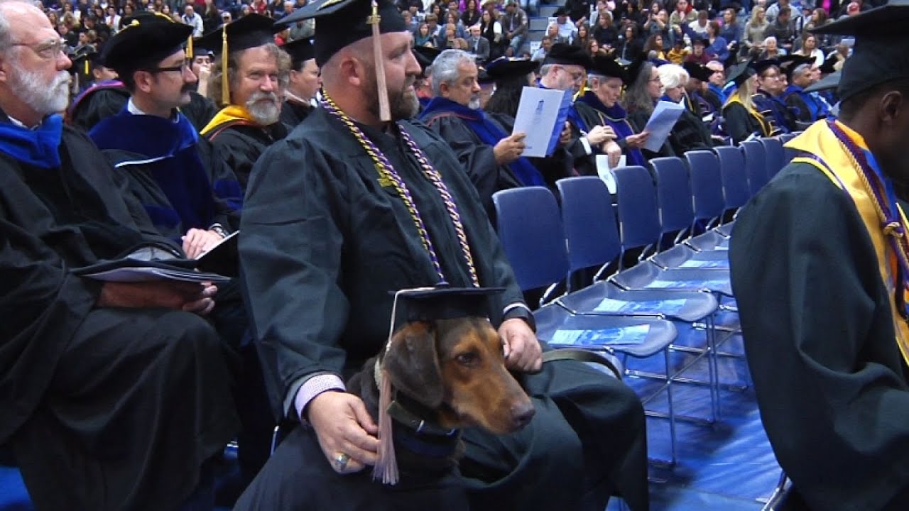 Army Veteran and service dog graduate college - YouTube