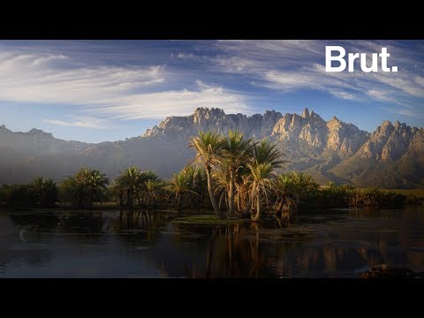 Socotra, l'île extraterrestre