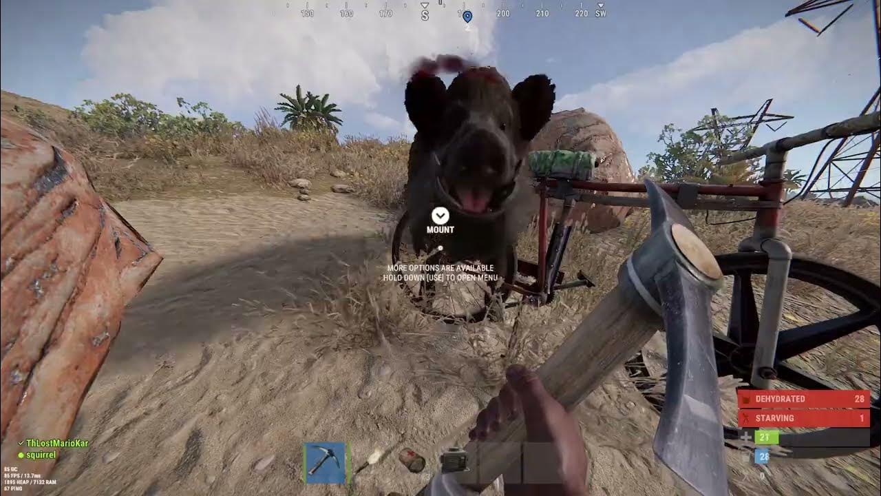 Rust but I cannot move unless I am wearing flippers (Day 4) - YouTube