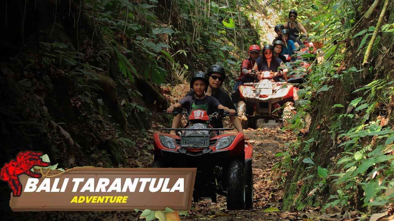 ATV BALI | THE BEST ADVENTURE ATV #1 | BALI TARANTULA ATV - YouTube