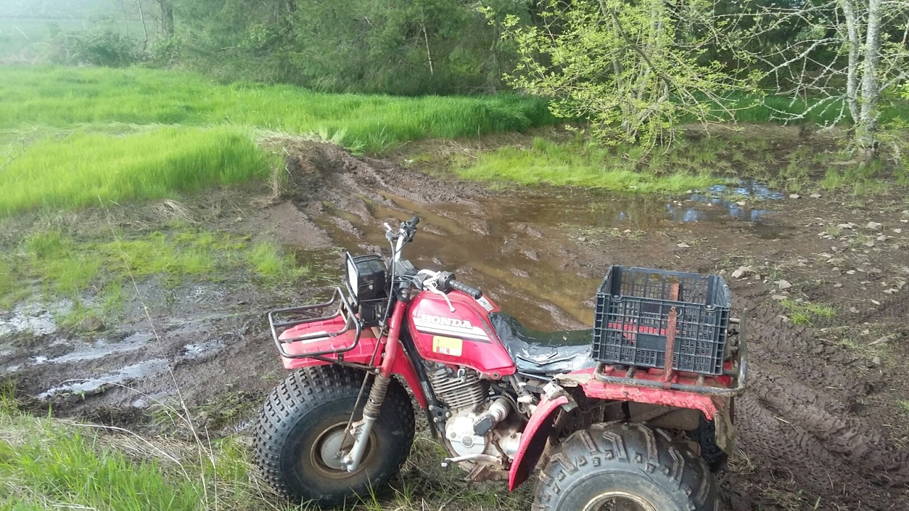 RIDING 4 WHEELERS IN THE MUD!!! - YouTube