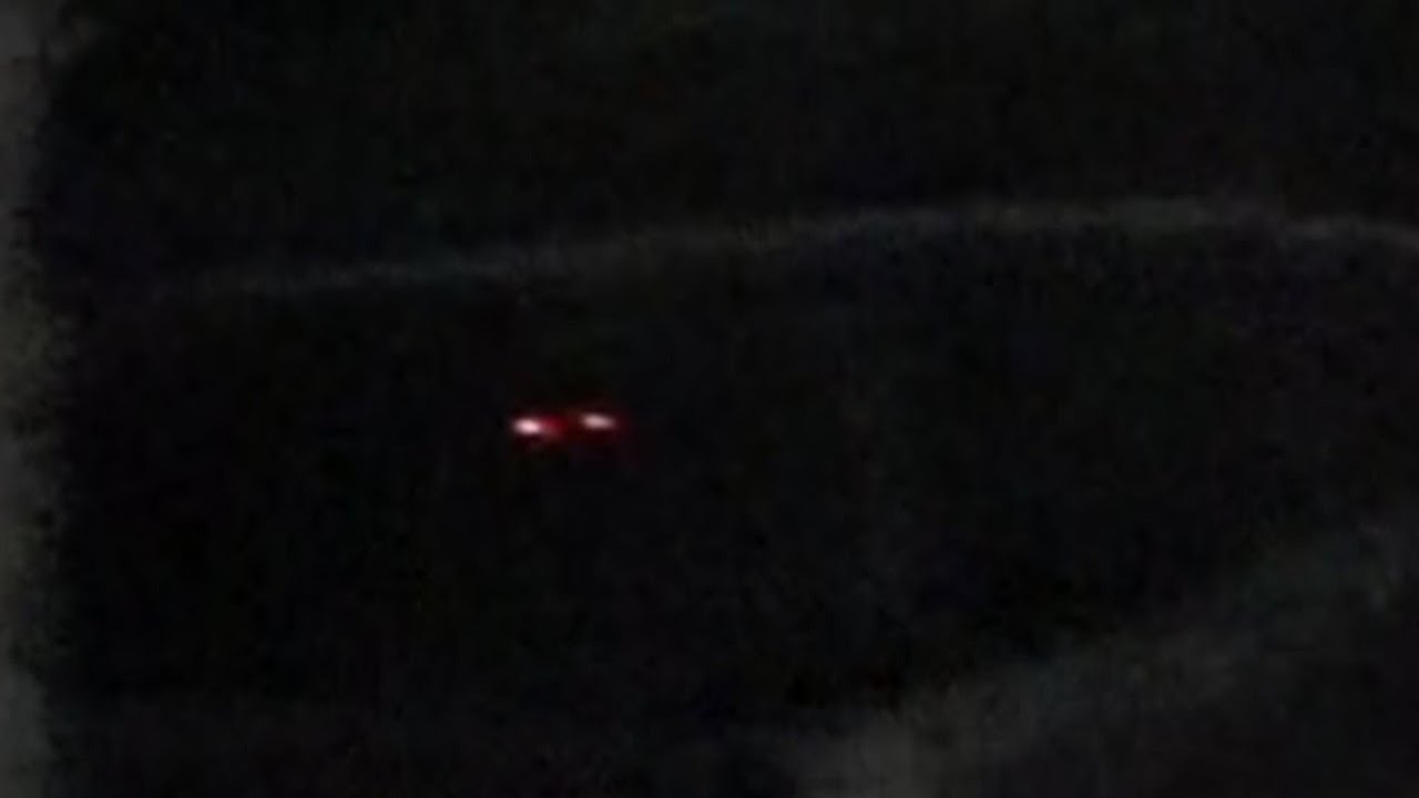 Found Red Eyes in the Woods - YouTube