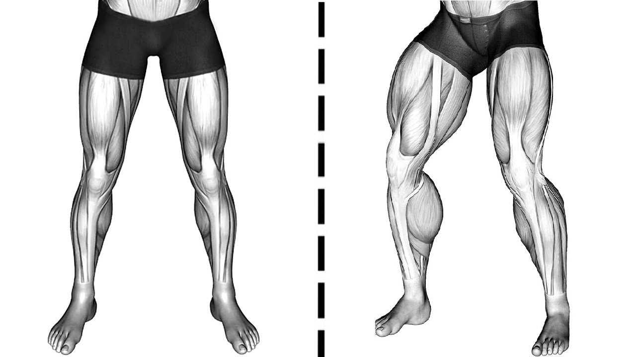 Full LEG Muscle Transformation 8 Best Exercises - YouTube