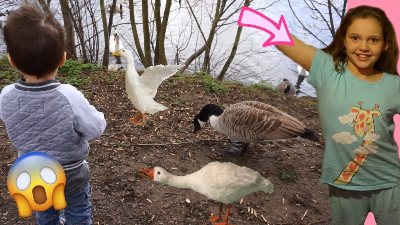 IT STARTED CHASING US + EXCITING SLEEPOVER FOR AMELIA! - YouTube