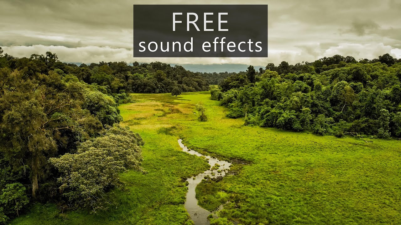 Mindful Audio sound effects - 2019 Holiday Freebies library - YouTube