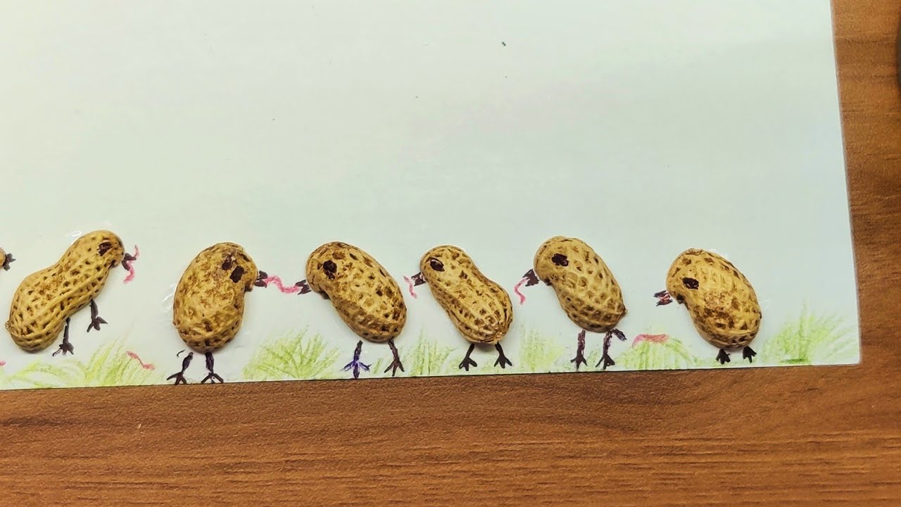Simple peanut shell craft for kids | School Craft Ideas Easy - YouTube
