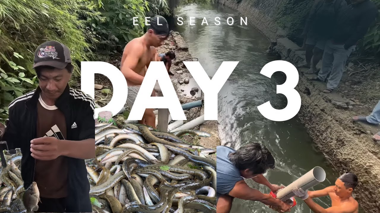 DAY 3 MA CHAI 5KG BAAM MACHA PARYO 😱|| EEL SEASON || - YouTube