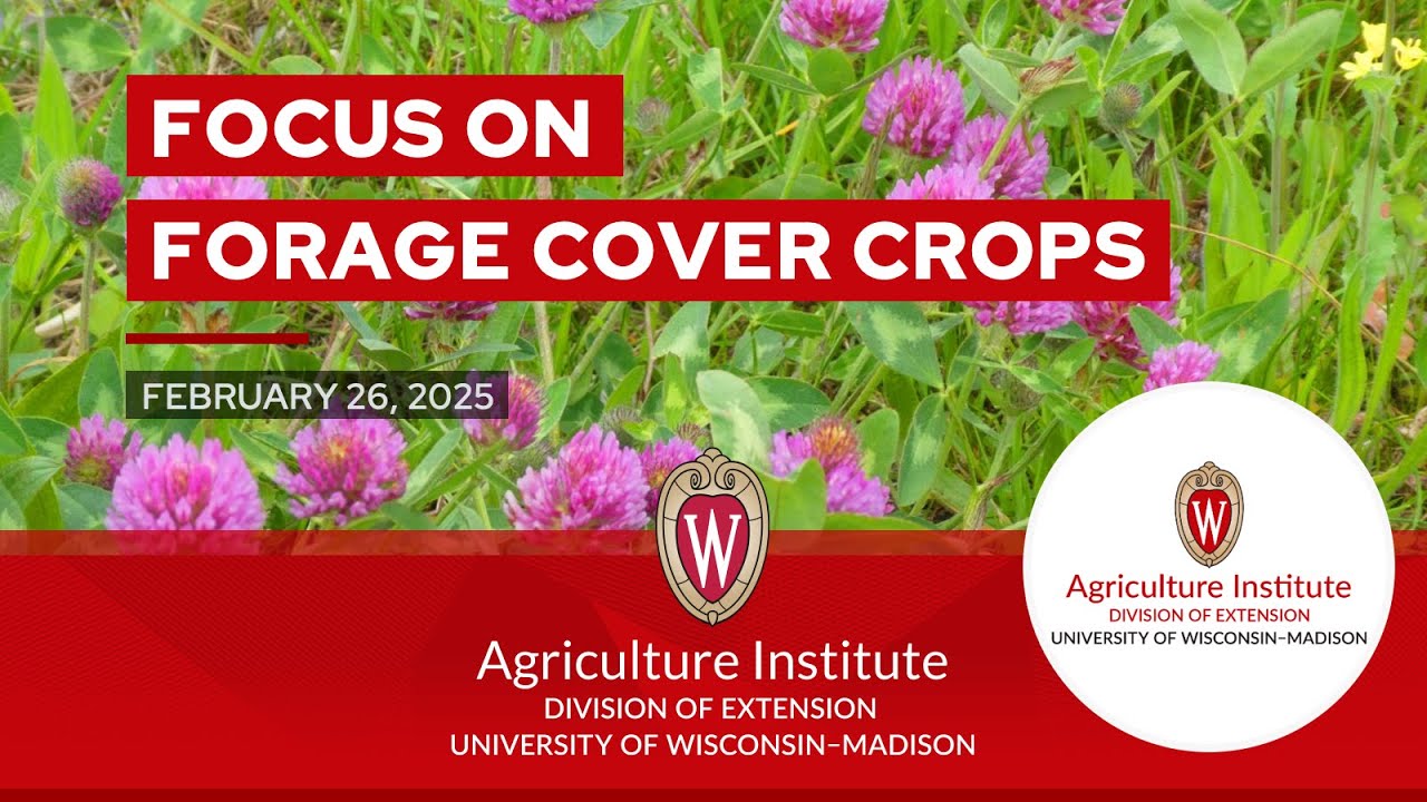 Focus on Forage Cover Crops: Preliminary Trends in Forage Quality - YouTube