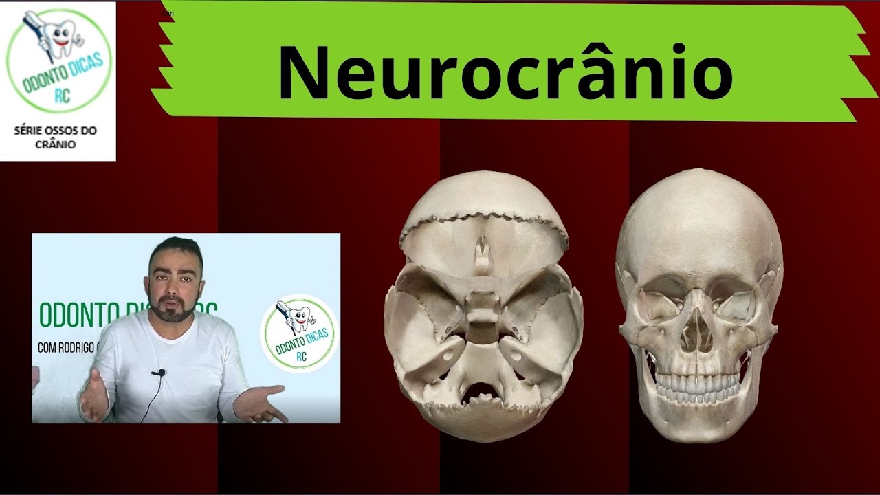 Ossos do crânio: neurocrânio 2/8 - YouTube
