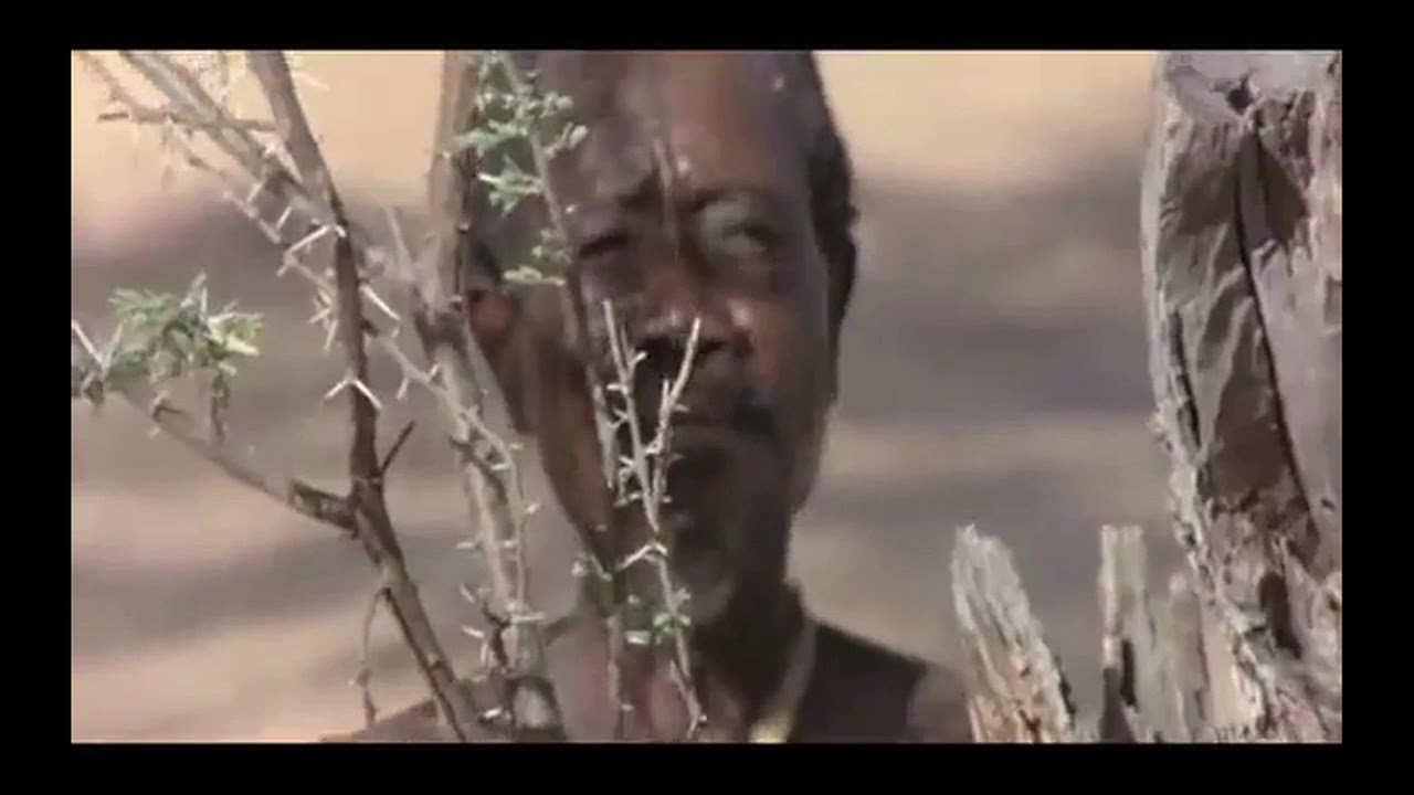 How to Catch a Monkey - YouTube