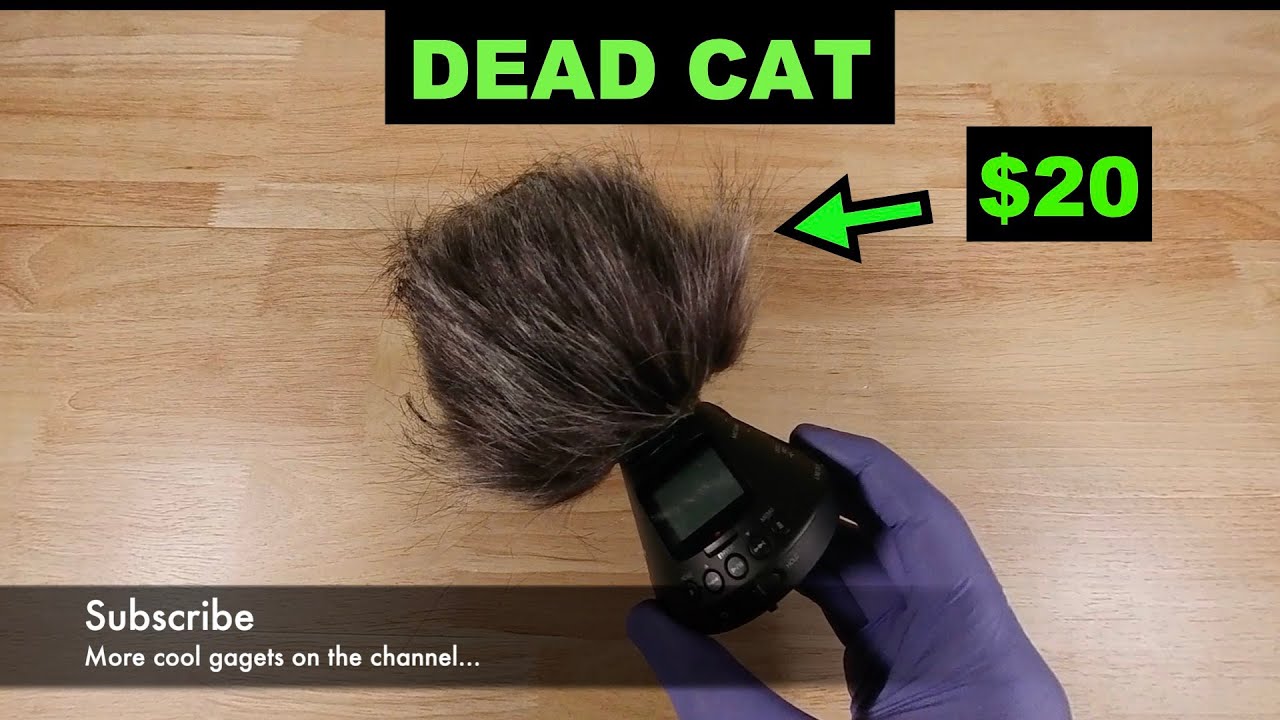 Dead Cat: Zoom WSU-1 Universal Windscreen - YouTube