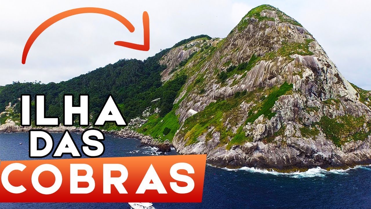Conheça a temida ILHA DAS COBRAS! A ilha mais PERIGOSA! - YouTube