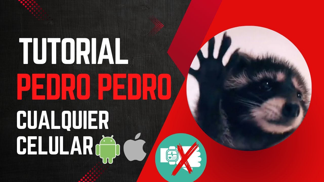 Cómo Crear el Video del Mapache en Cualquier Teléfono - YouTube