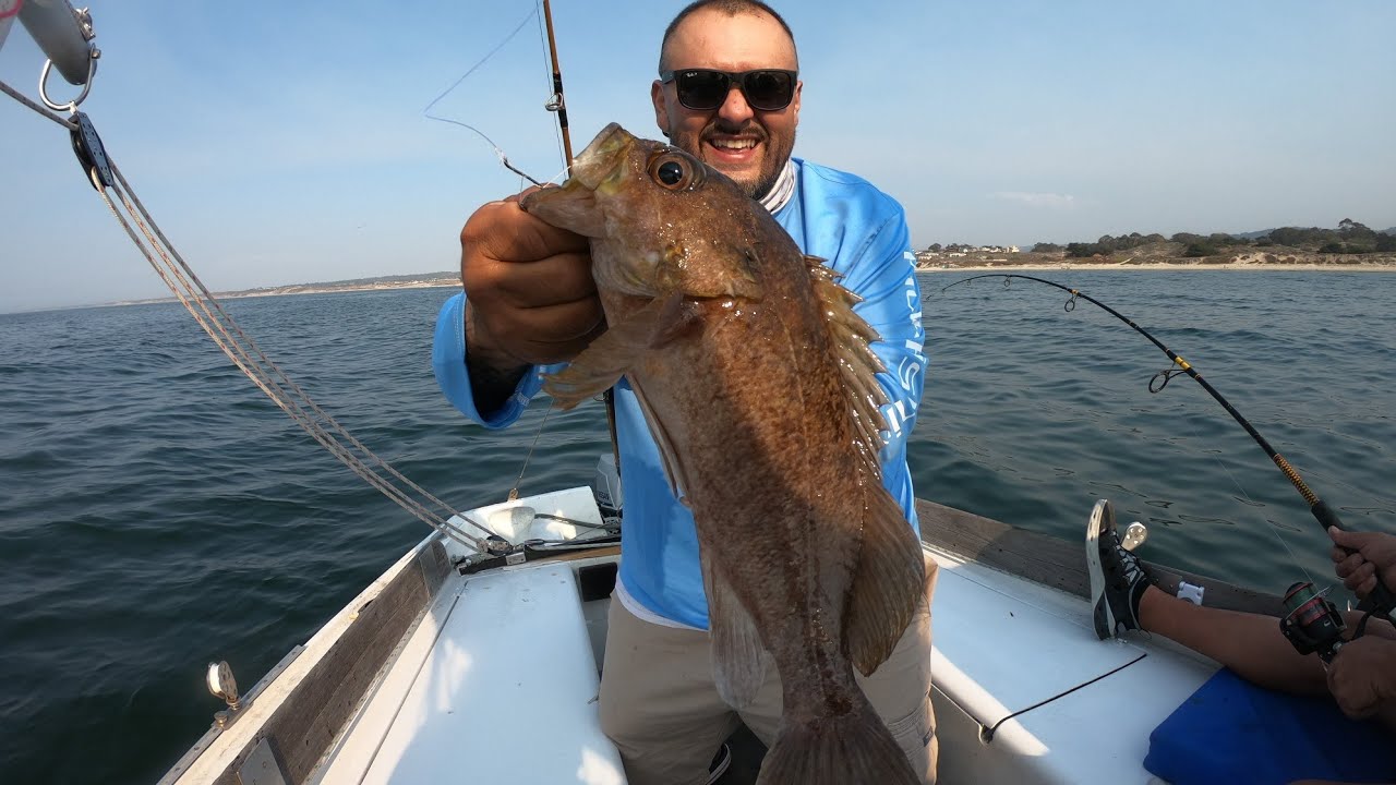 MULTI SPECIES DAY FISHING MONTEREY BAY IN A SAILBOAT "SANTANA 22' - YouTube