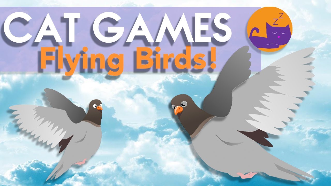Videos for Cats - Flying Bird Catch Game for Cats! (EXTRA FUN) - YouTube