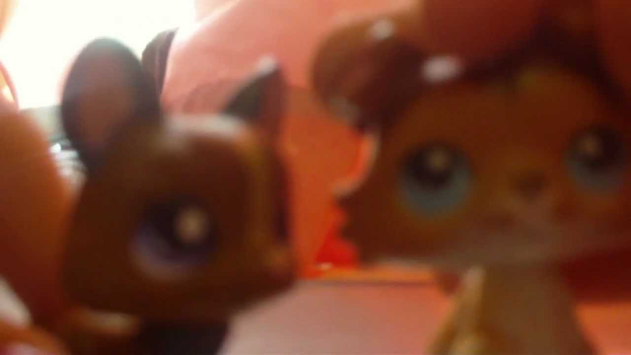 lps 30 SUBSCRIBERS :3 - YouTube