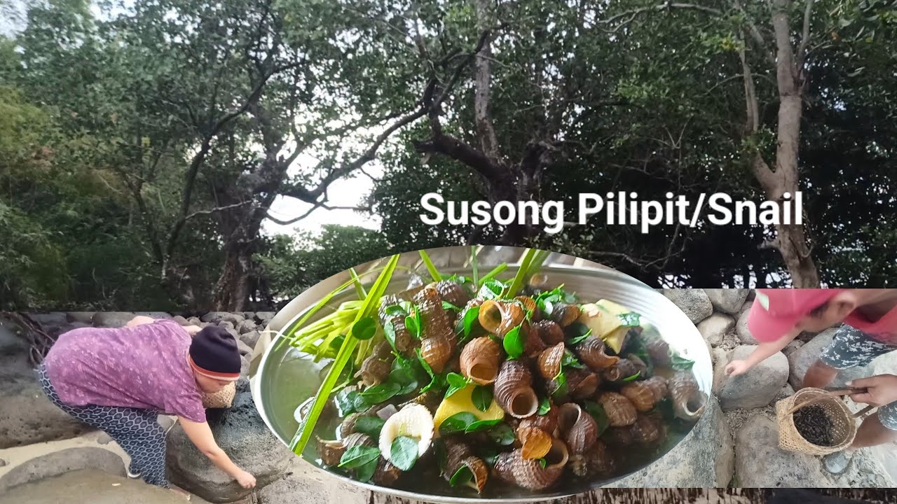 Nanguha kami ni Mister ng SUSONG PILIPIT/SHELL - YouTube