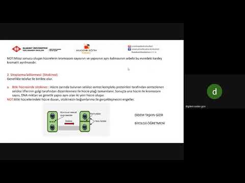 15 -Mitoz Bölünme 2