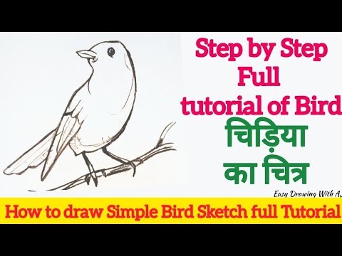 Simple Bird 🐦 Sketch | How to draw bird sketch in simple way ...