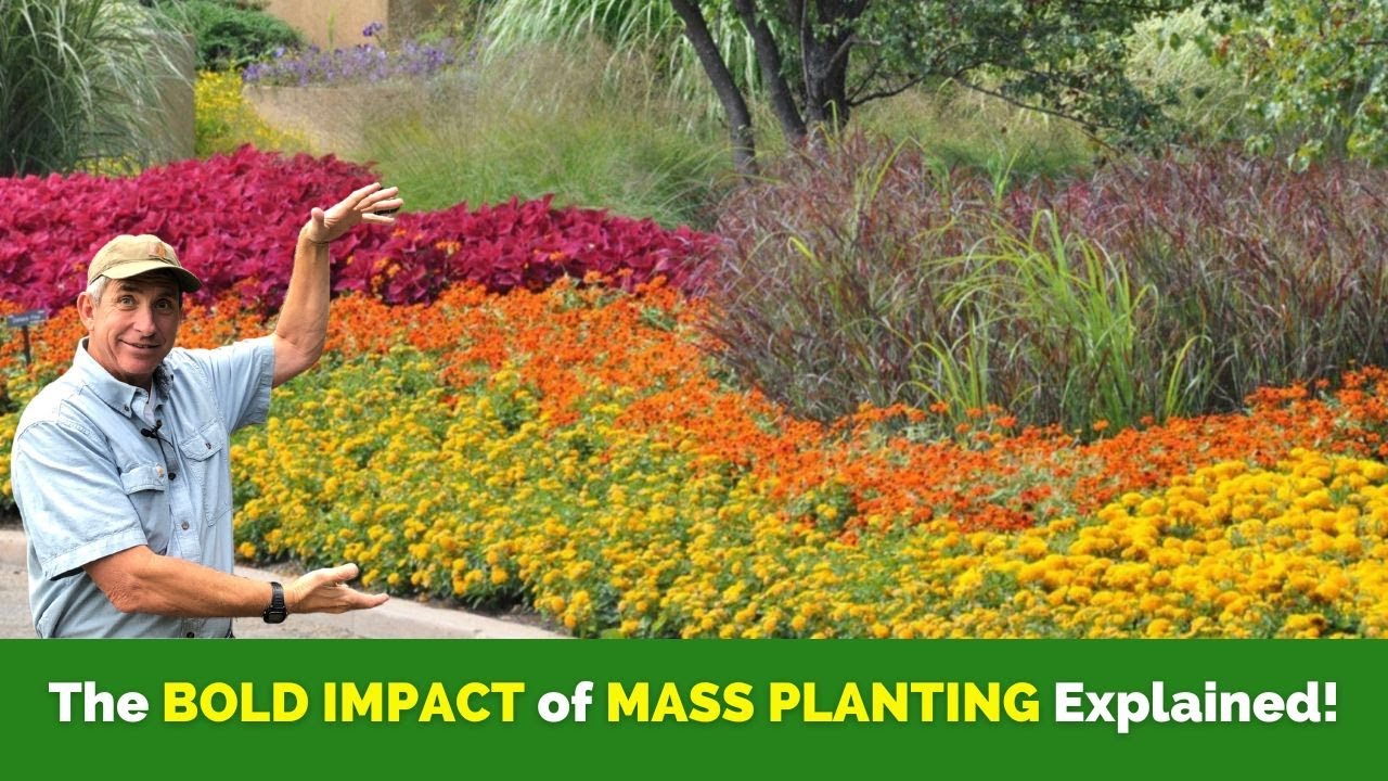 Impact of Mass Planting in the Landscape ~ and Special Announcement ...