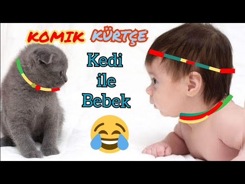 Dünyanin en Komik Kürtçe Kedi ve Bebek Küfürlü/ Gülmek Garanti 😂