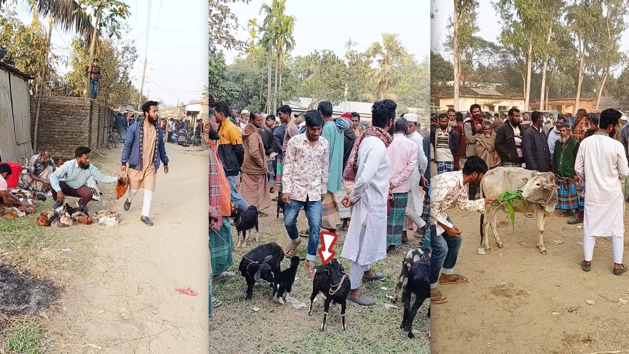 🌍 Global LOL Frequency 2025 🤣 Epic Funny Mix | Rasel Vai official - YouTube