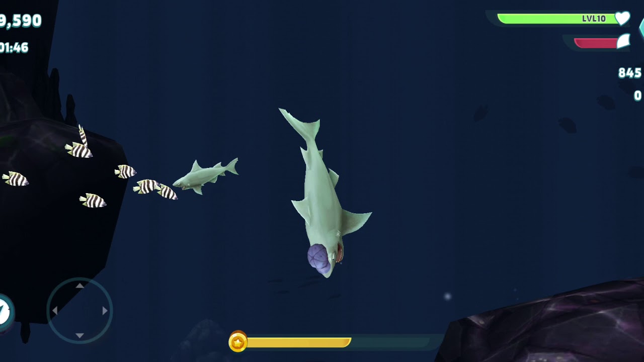 little sharky warky. (It was super fun) - YouTube