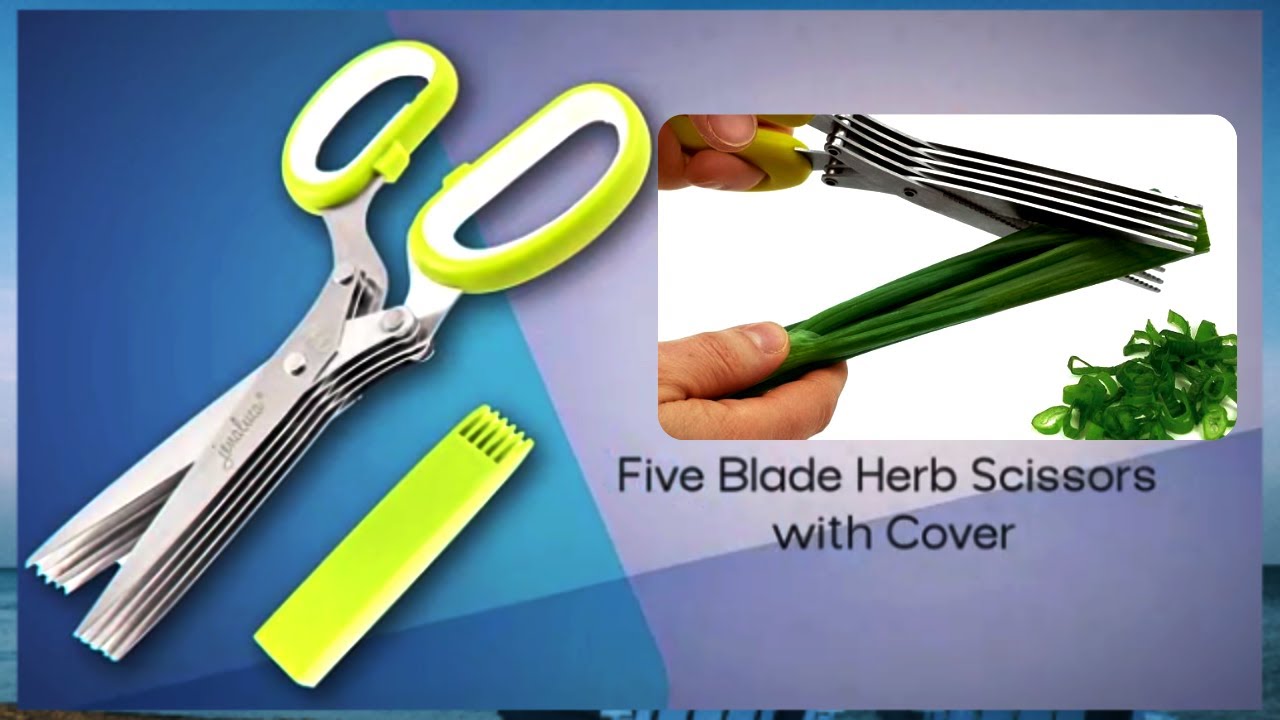 5 BLADES HERB KITCHEN SCISSORS | MULTIPURPOSE HERB SHEARS (Shorts ...