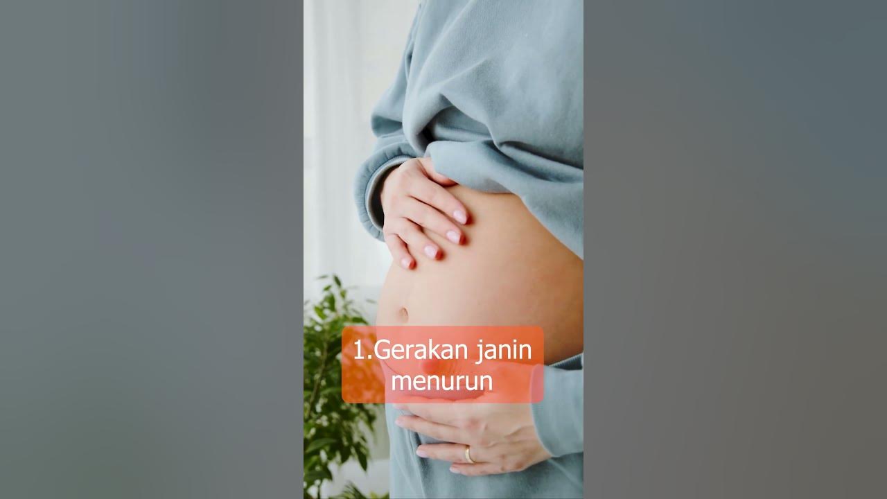 INI TANDANYA !! Tanda janin sedang tidak baik baik saja #shorts - YouTube