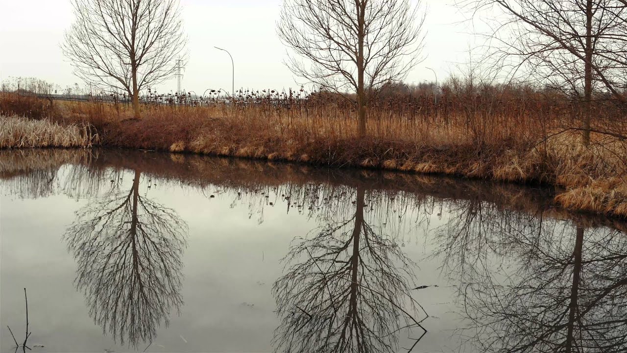 Panasonic LUMIX GX8 - some 4K nature-footage "Bavaria, February 2016"