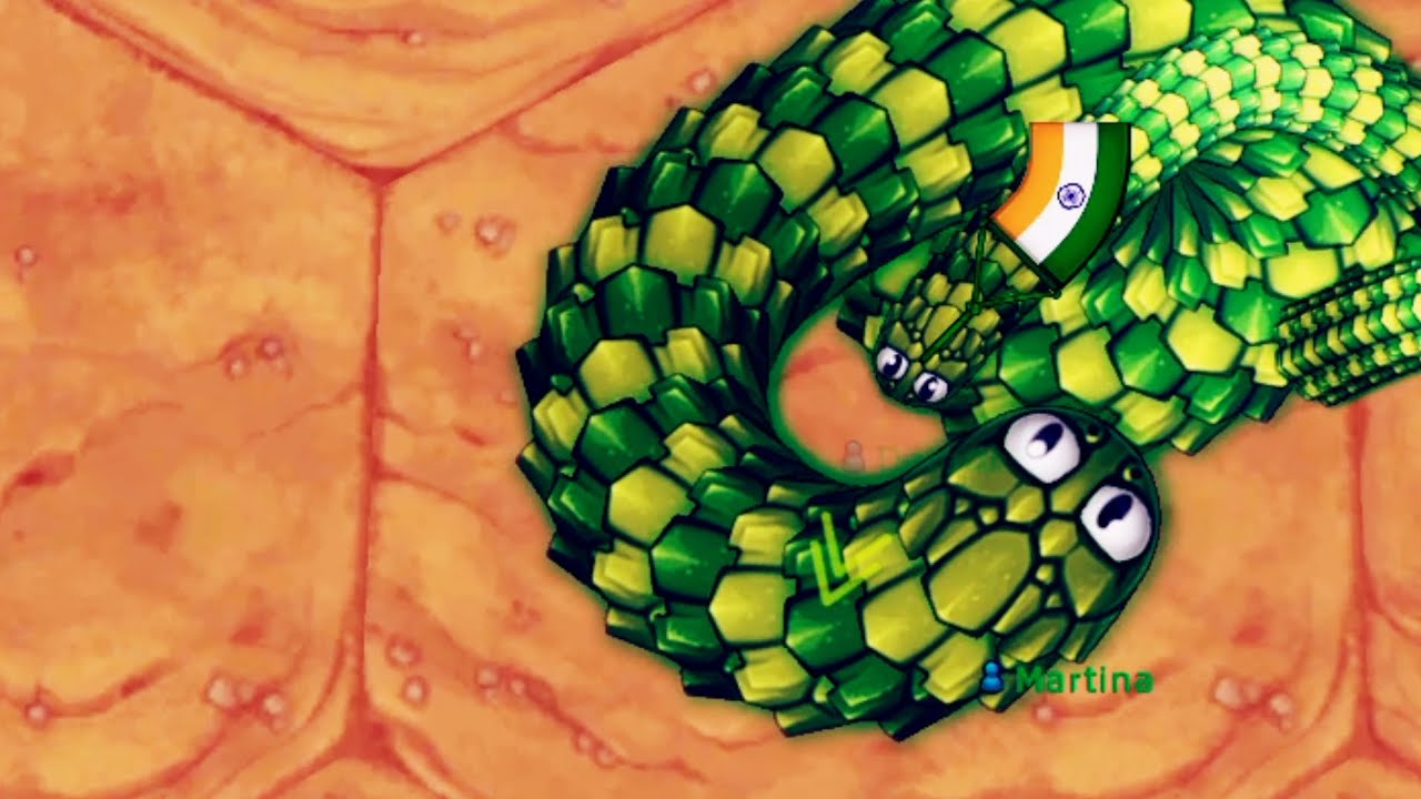 Little Big Snake World Record| World Record Little Big Snake | Record ...