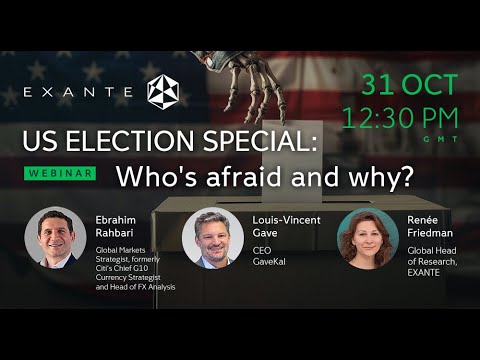 US Election Special Webinar: Ebrahim Rahbari on risk premium - YouTube