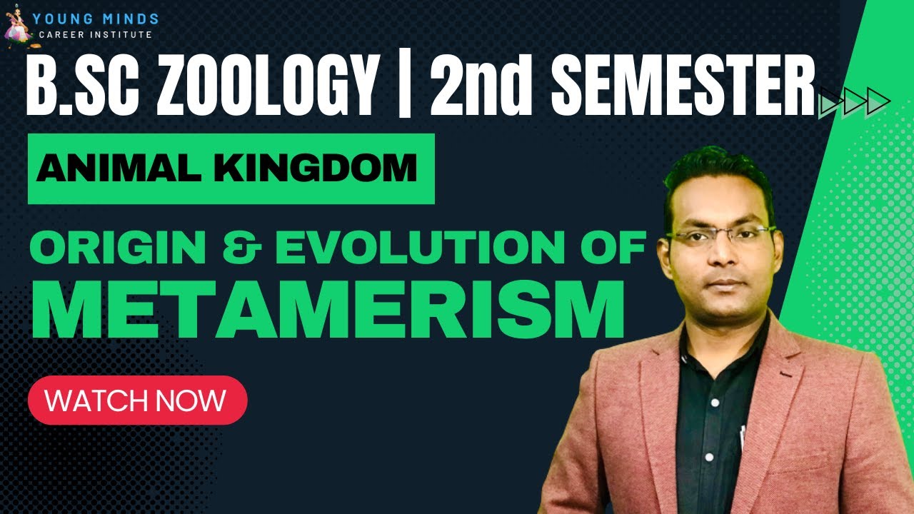 B.Sc Zoology | Origin & Evolution of Metamerism | Core Paper - III ...