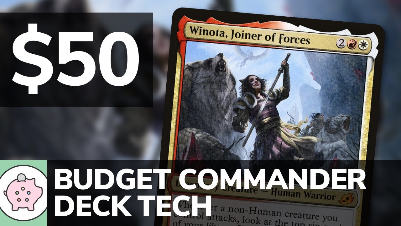 Winota, Joiner of Forces | EDH Budget Deck Tech $50 | Human Tribal ...