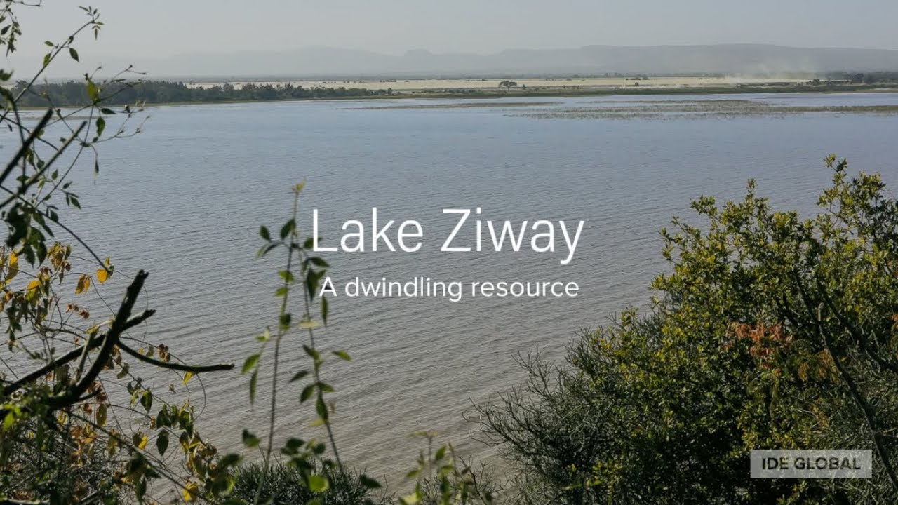 Ethiopia's Lake Ziway is a Natural Resource in Danger - YouTube