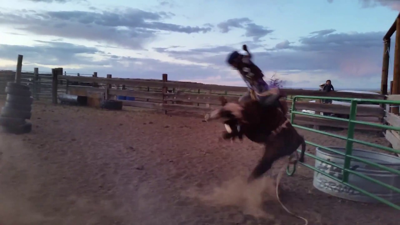 Mini bull riding practice at grandfalls, az - YouTube