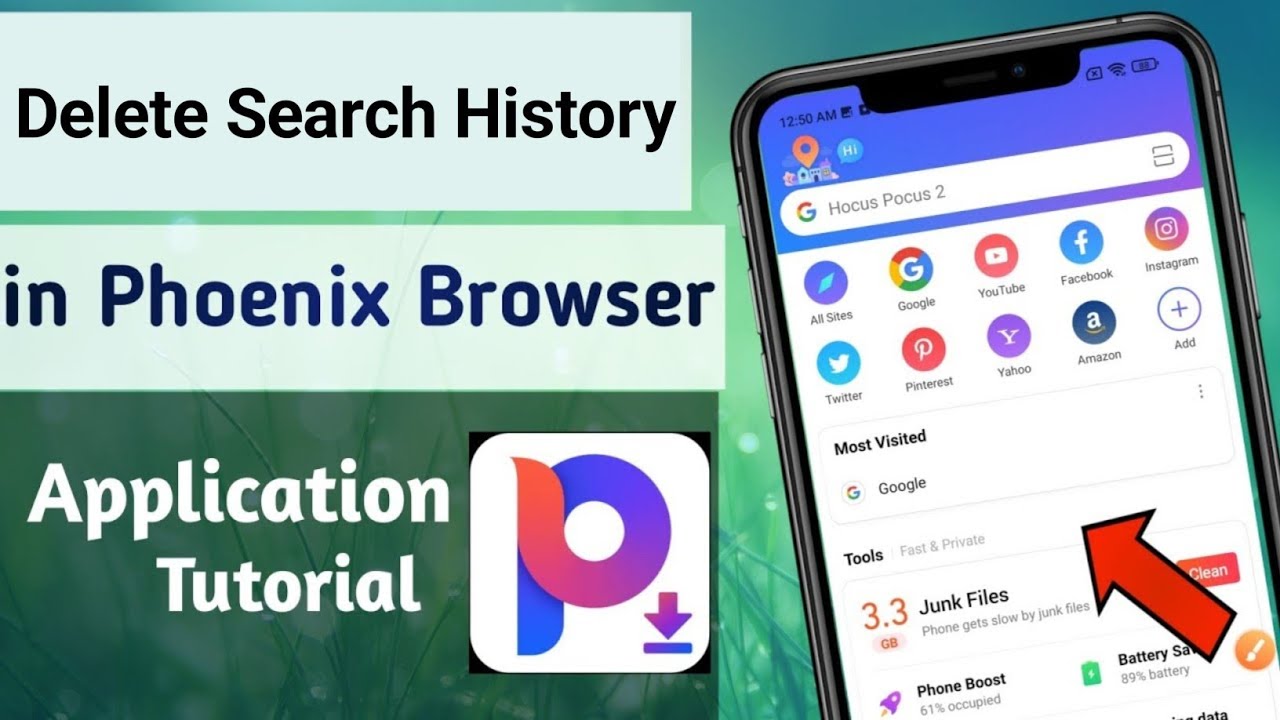 How to Delete Search history on Phoenix Browser App - YouTube