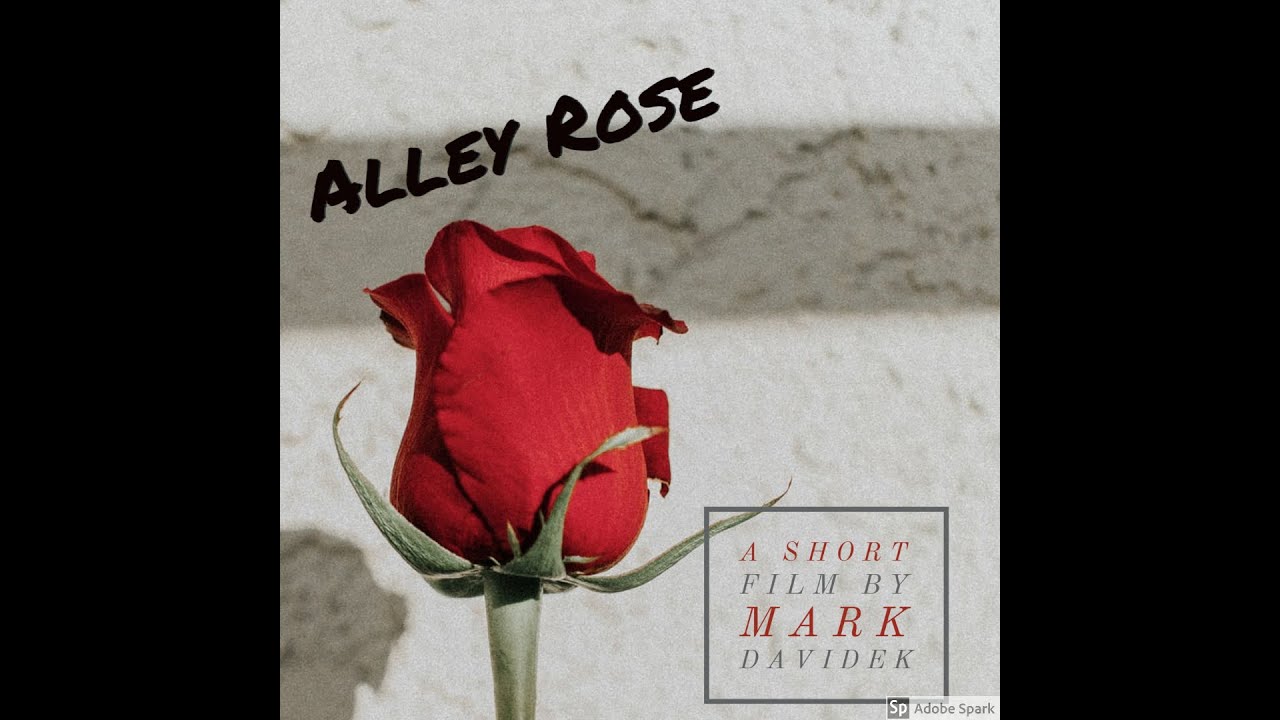 Alley Rose - YouTube