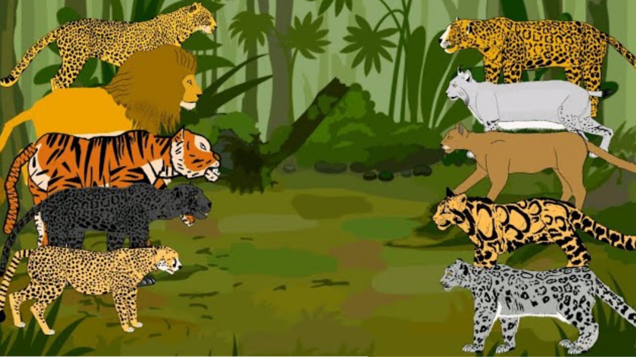Animals turnament animation —all animation - YouTube
